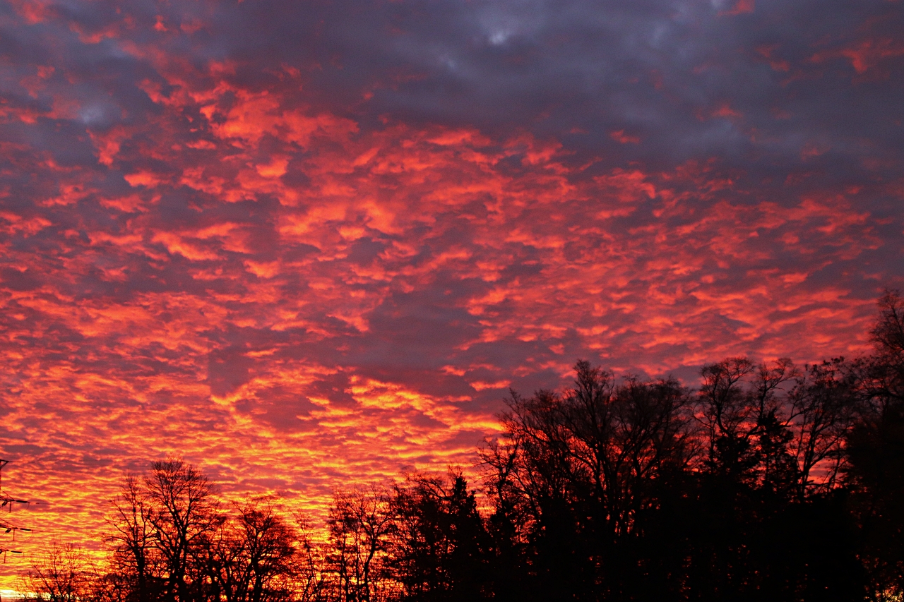 AlphaHippie - Good morning Somee friends. I love this time of year,...